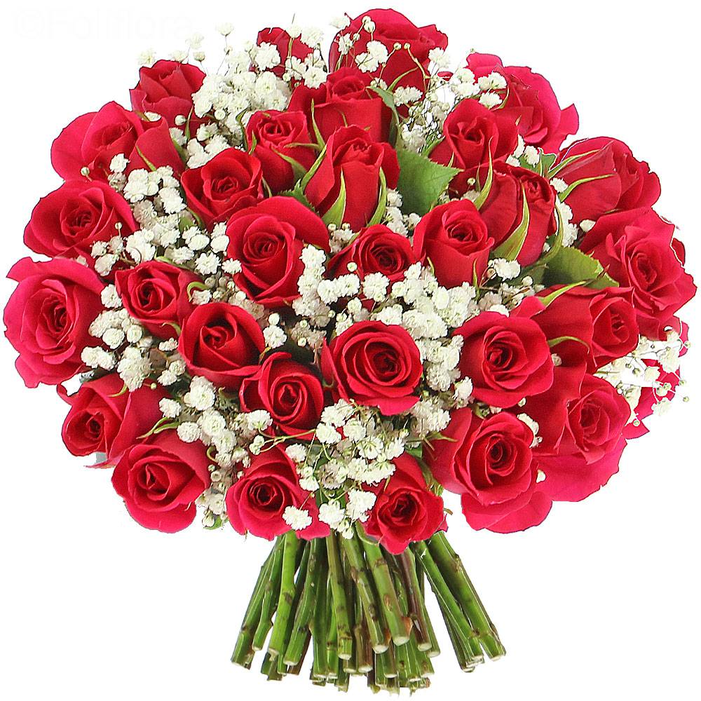 Bouquet Roses Replant At James Marts Blog Bouquet Roses Replant At James Marts Blog